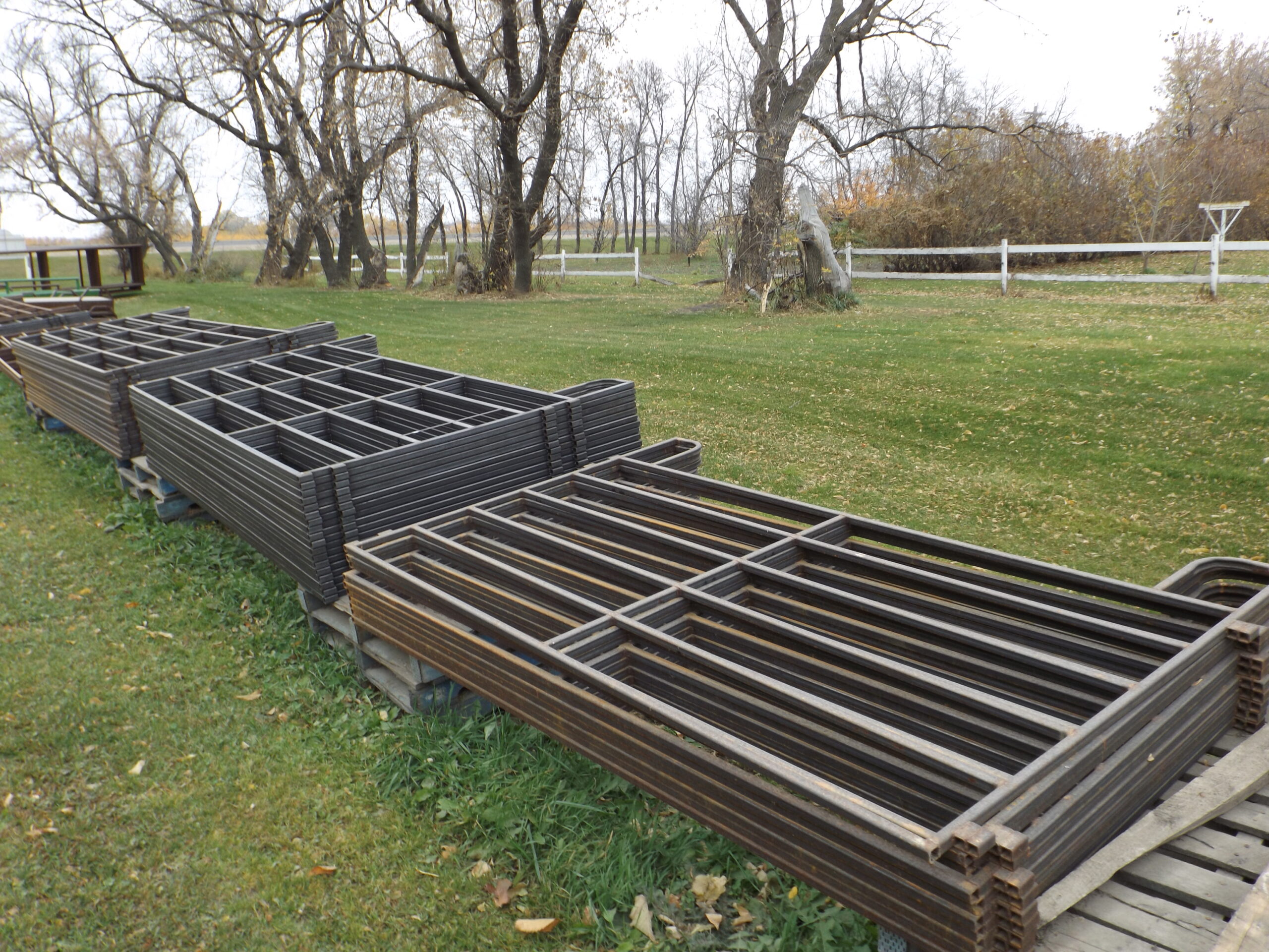Corral Panels - Fehrway Feeds & Livestock Equipment