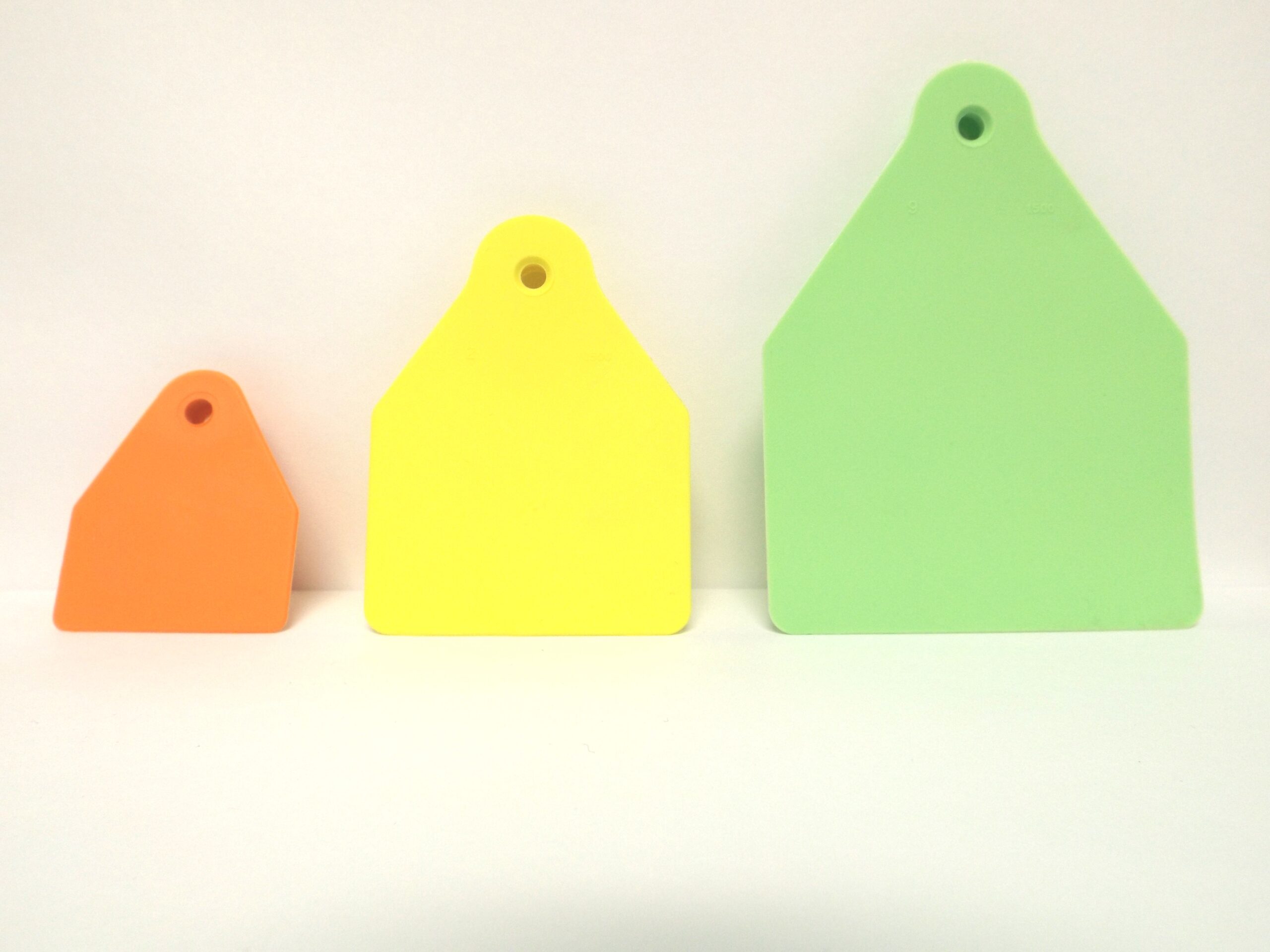 Allflex Ranch Star Tags - Fehrway Feeds & Livestock Equipment