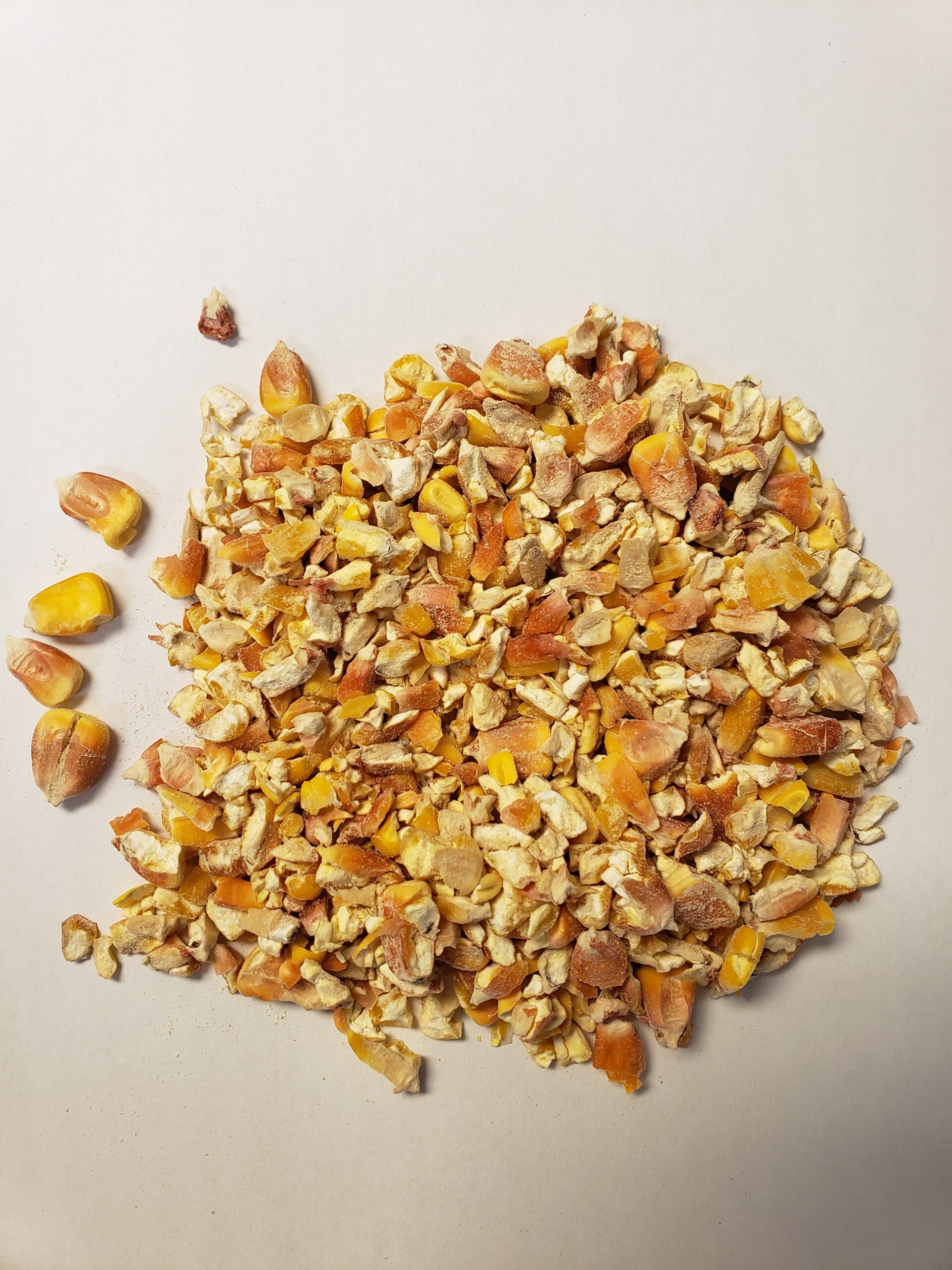 Rolled Corn - Fehrway Feeds & Livestock Equipment